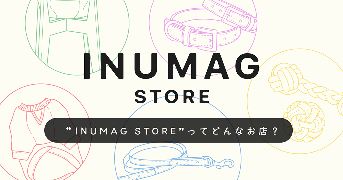 まもなくオープン！『INUMAG STORE』愛犬家の「こんなものがほしかった」を形に｜INUMAG（イヌマグ）