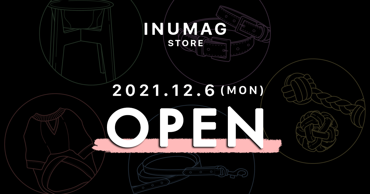 オープン日決定！『INUMAG STORE』12月6日OPENします !｜INUMAG（イヌマグ）