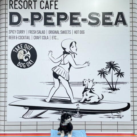 【横須賀】大型犬もOK！全席犬同伴できるオーシャンビューカフェ『D-PEPE SEA』｜INUMAG（イヌマグ）