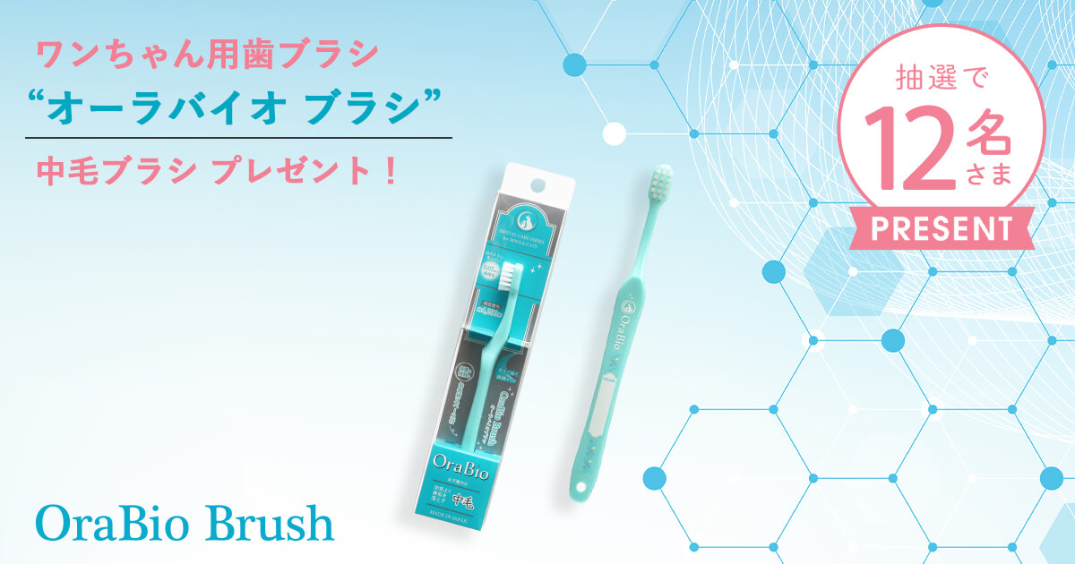 愛犬の健康のために！犬の歯ブラシ『OraBio Brush（オーラバイオ ブラシ）』 プレゼント｜INUMAG（イヌマグ）