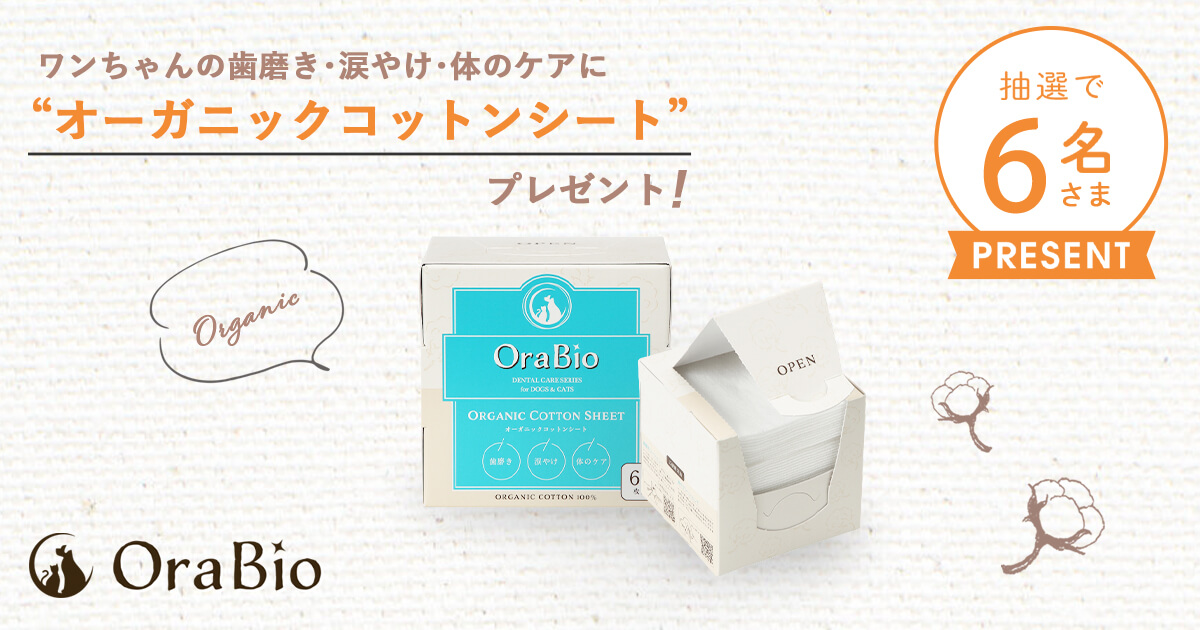ペットのケアに！「OraBioオーガニックコットンシート」プレゼント!!｜INUMAG（イヌマグ）