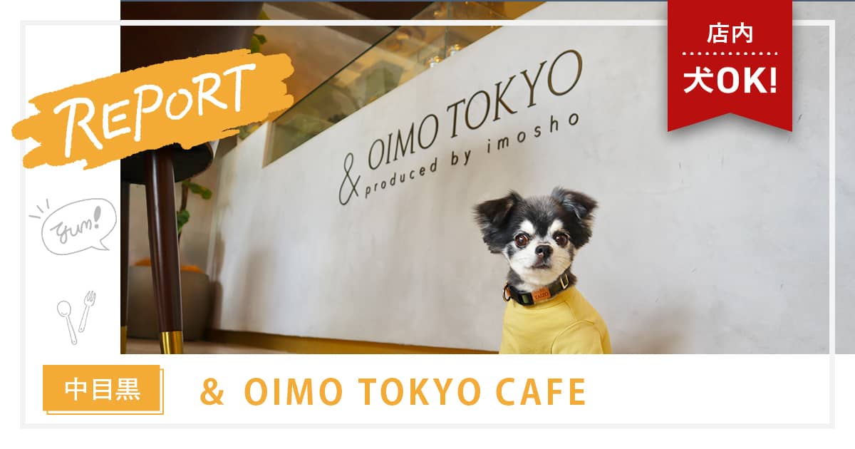 【中目黒】高級感のある空間で絶品お芋スイーツを愛犬と堪能『& OIMO TOKYO CAFE』｜INUMAG（イヌマグ）